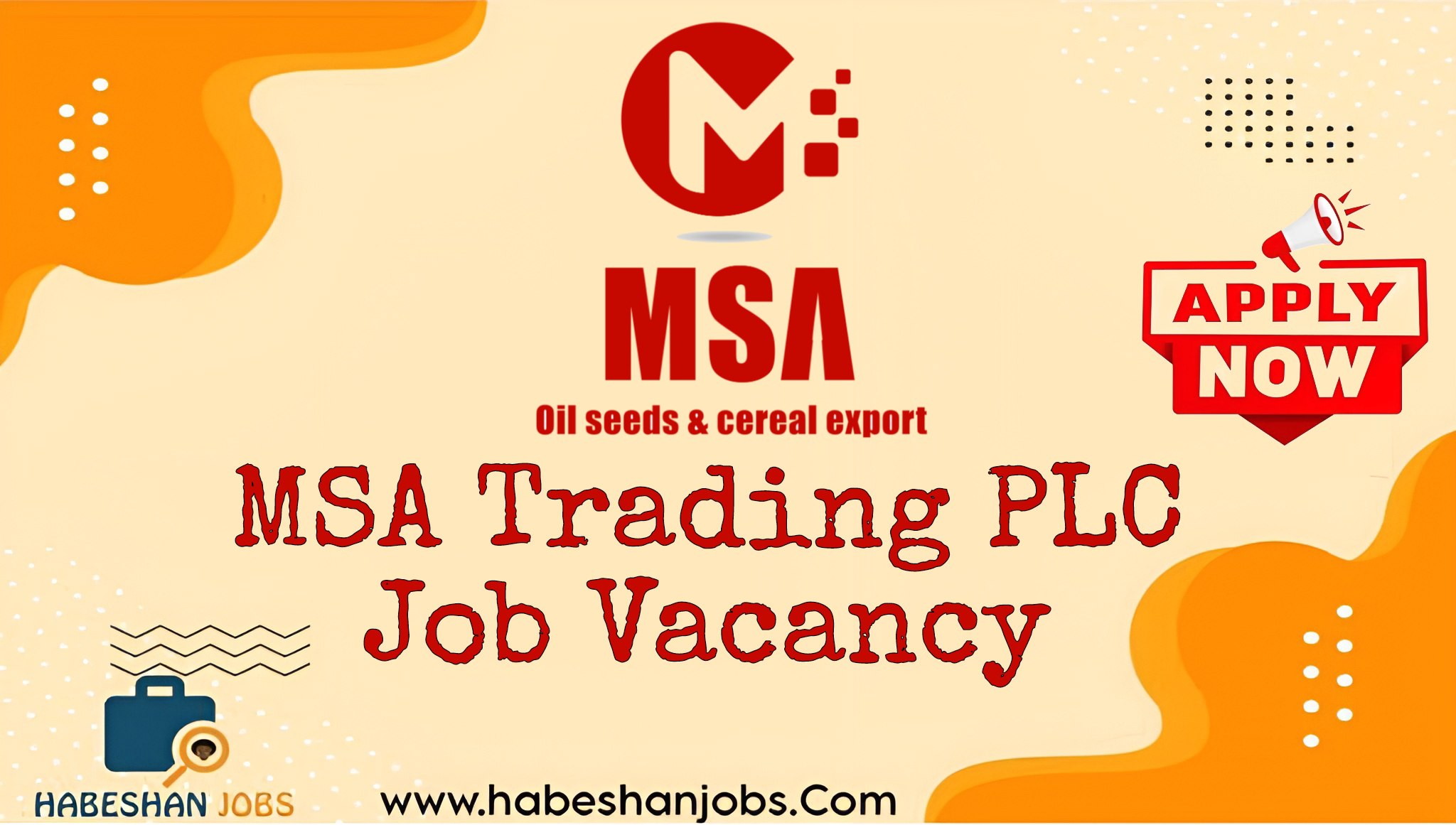 MSA Trading Job Vacancy 2024 |Fresh Graduates|