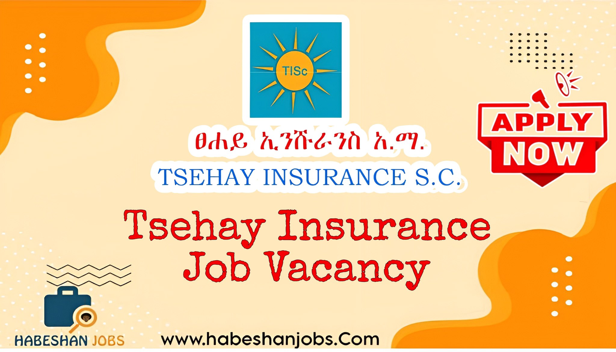 Tsehay Insurance Job Vacancy