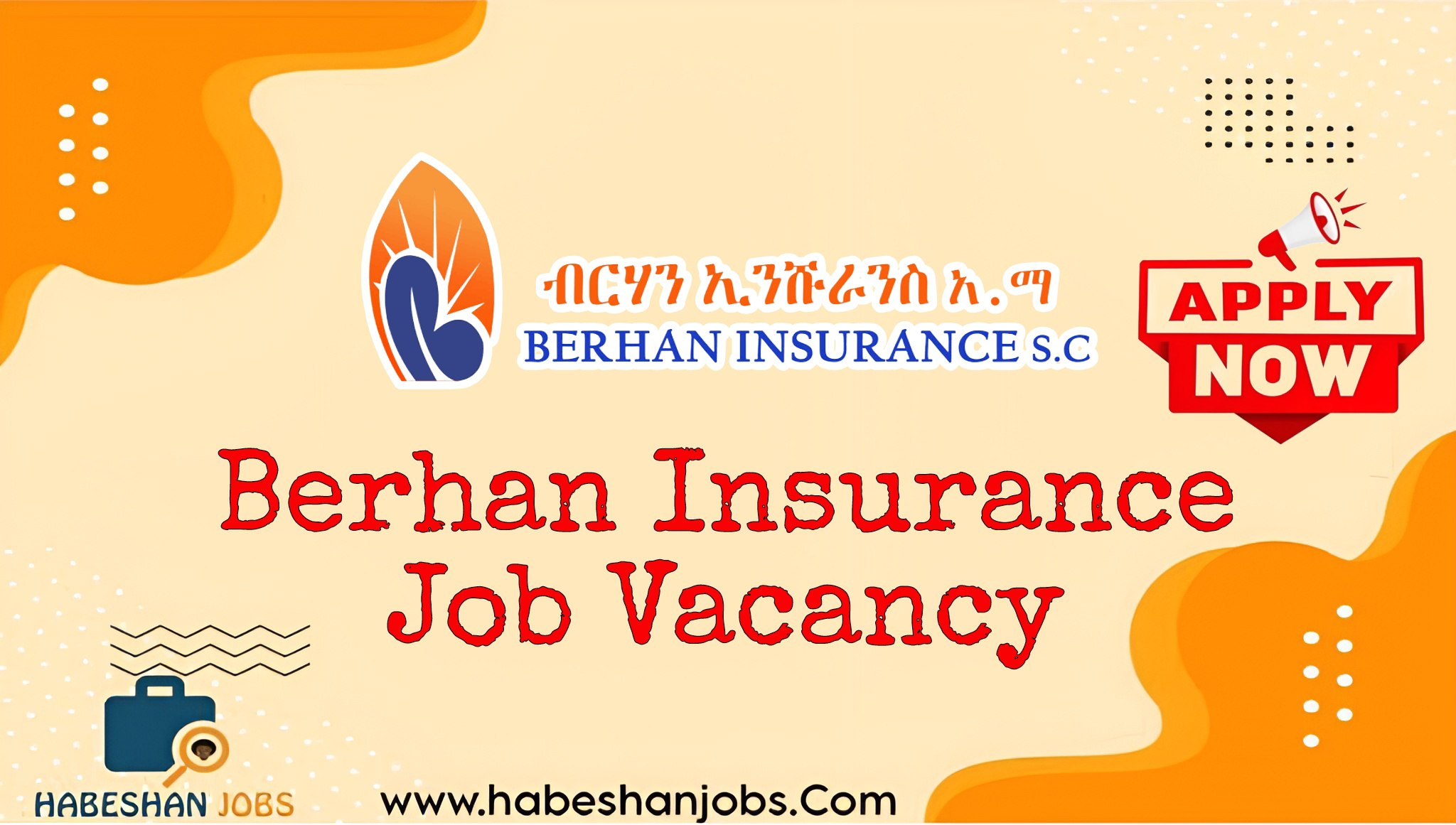 Berhan Insurance job Vacancy