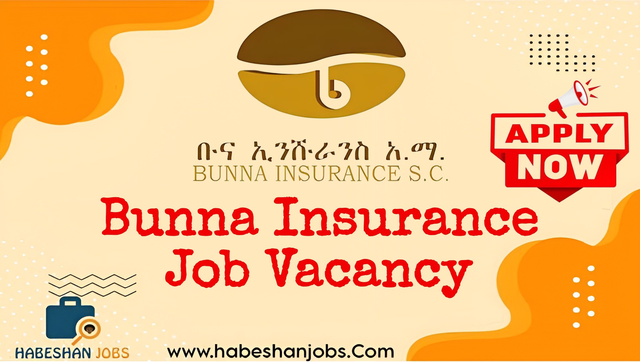 Bunna Insurance Job Vacancy