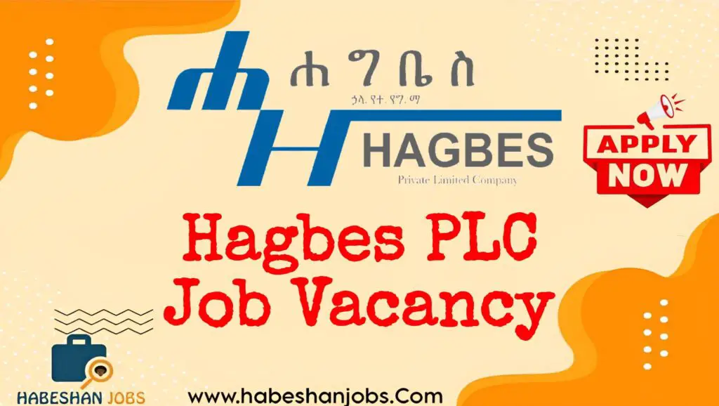 Hagbes PLC Fresh Graduate Jobs May 2025 | Software Engineer & IT Admin ...