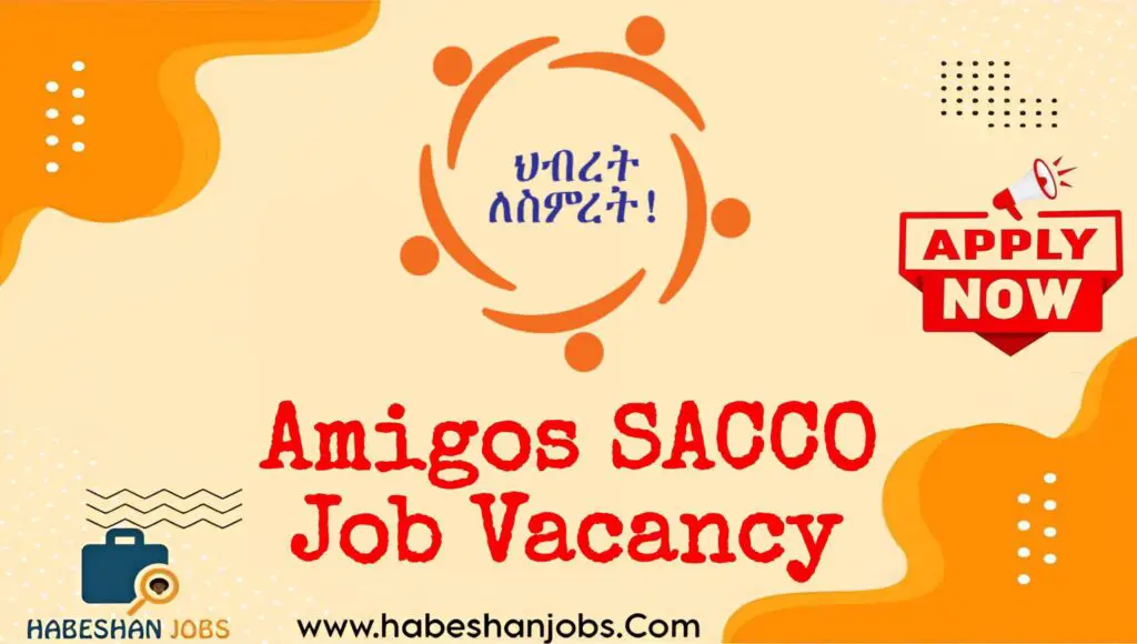 Amigos SACCO Job Vacancy 2025 | Accountant, Sales, Loan Officer & Branch Manager Jobs in Ethiopia