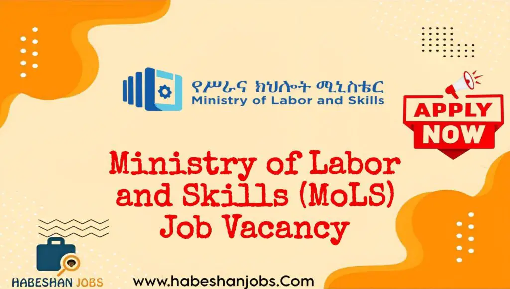 Ministry of Labor and Skills Opportunity | Register on E-LMIS for Labor ID & Job Access